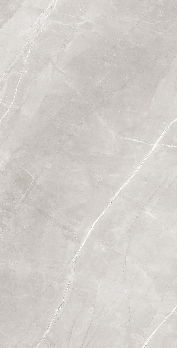 Керамогранит Arcadia Ceramica Armani Silver 60x120 RT | RT7013-A ...
